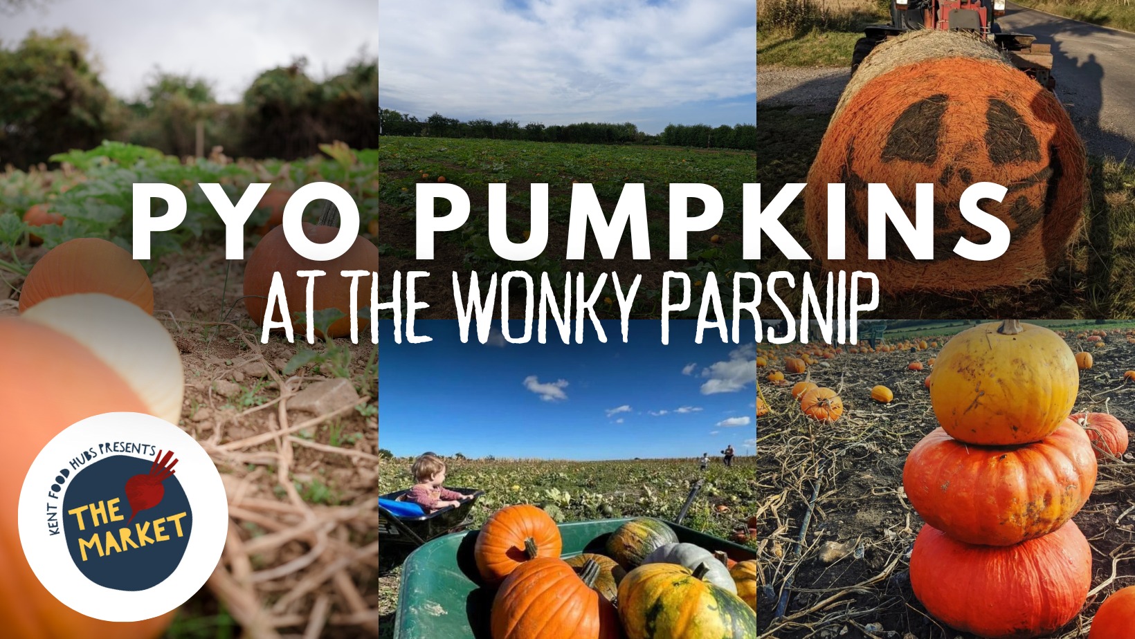 Pick Your Own Pumpkin Weekend at Brogdale - Brogdale Farm